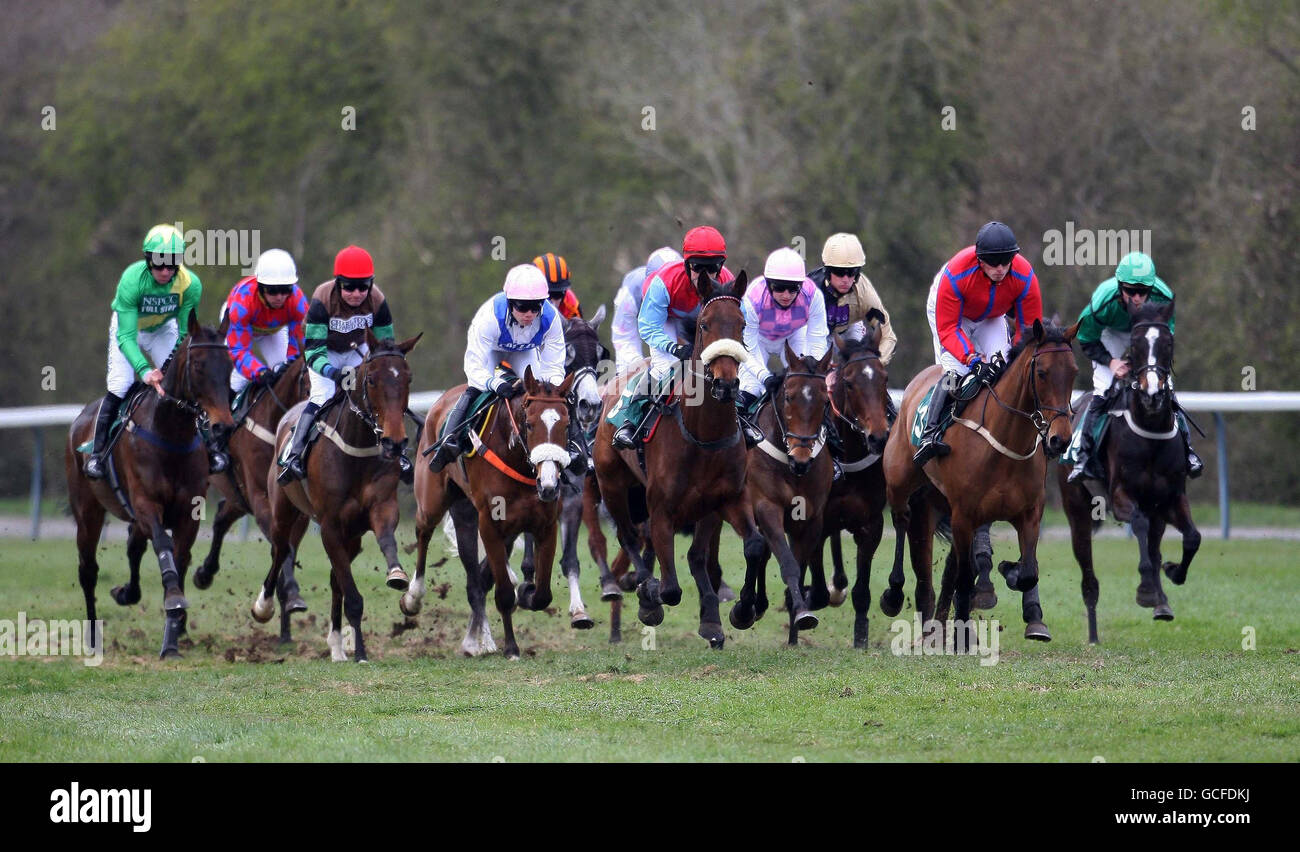 Perth horse racing scotland hi-res stock photography and images - Alamy