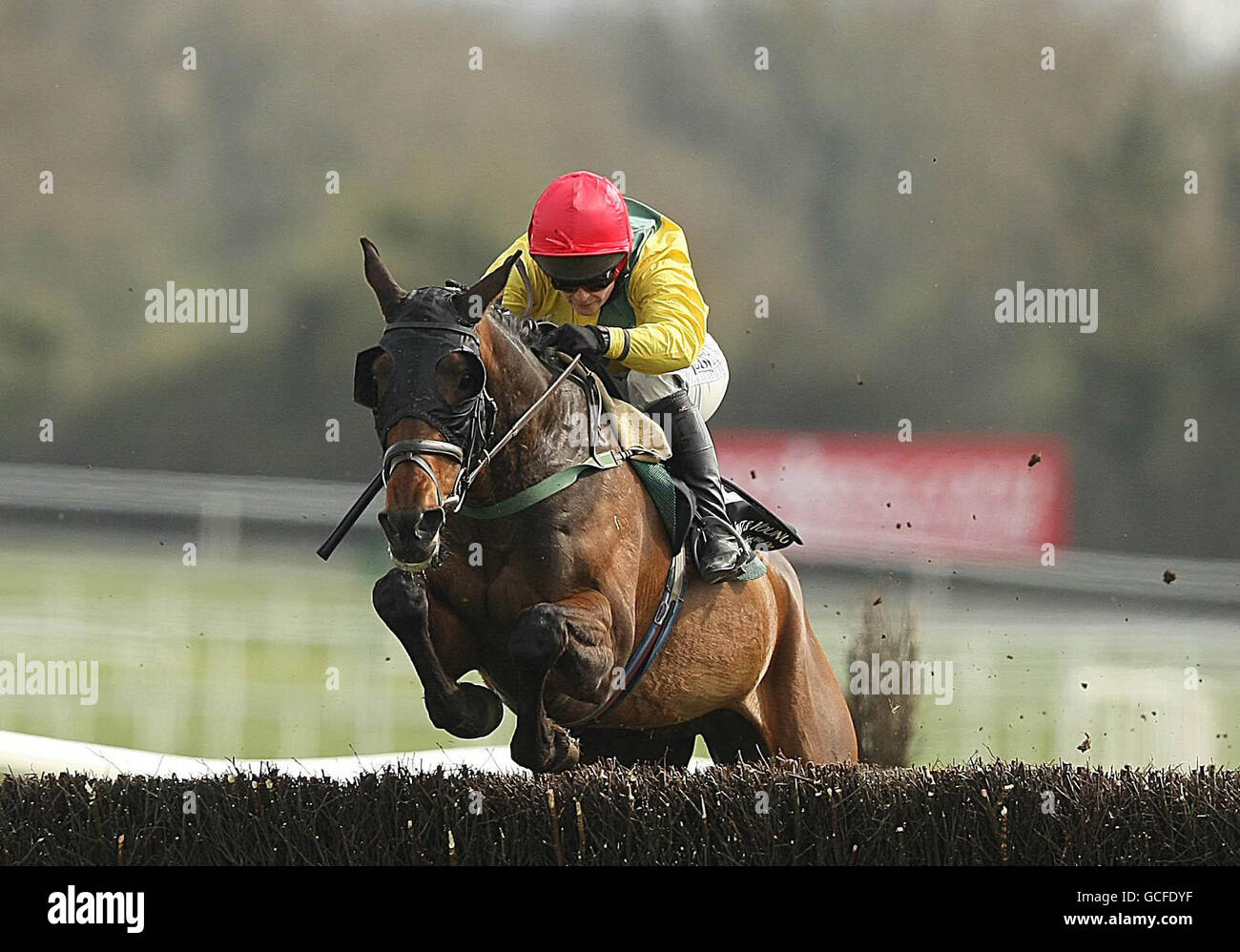Katie walsh racing hi-res stock photography and images - Alamy