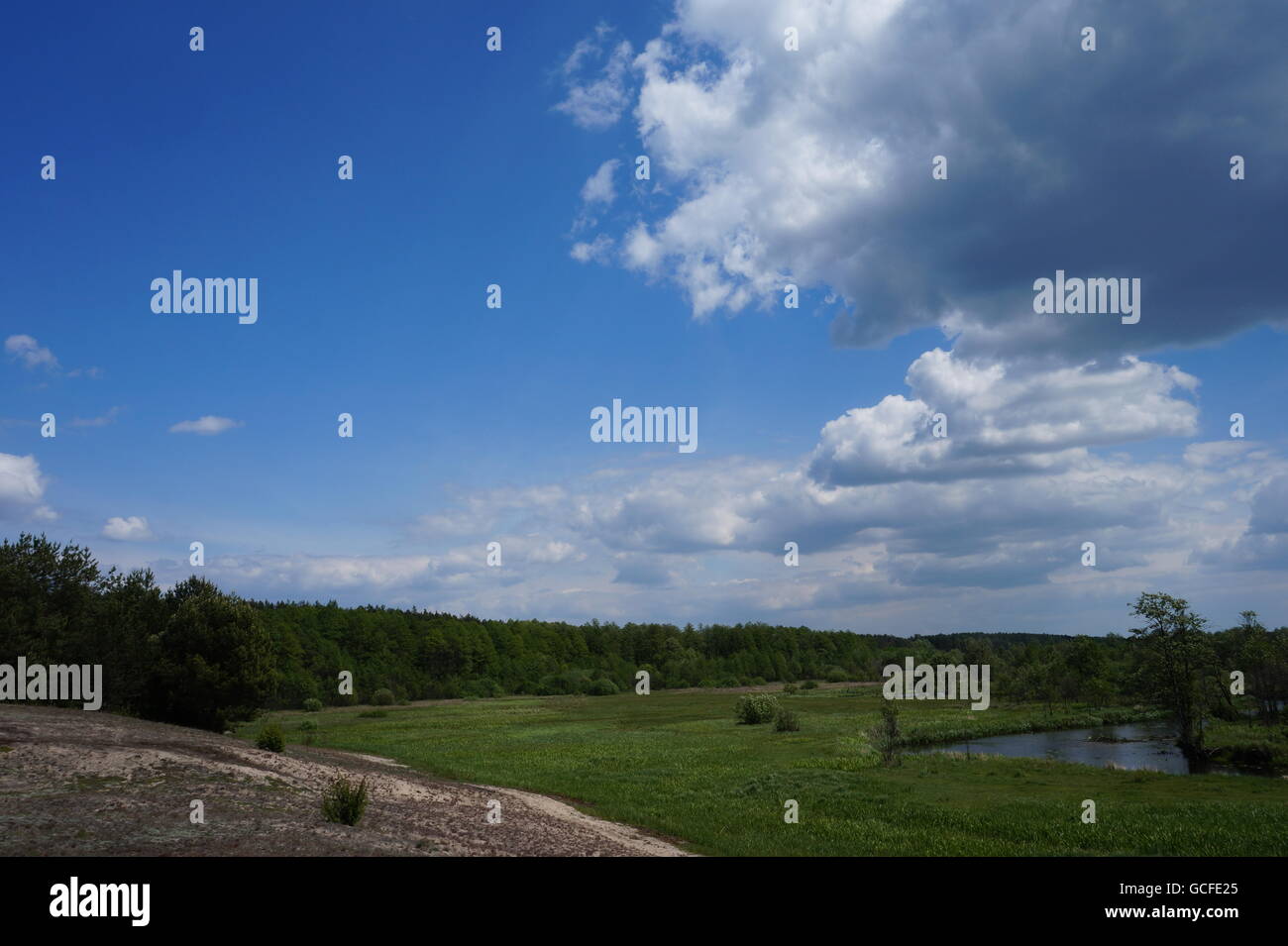 river bank landscape Stock Photo - Alamy