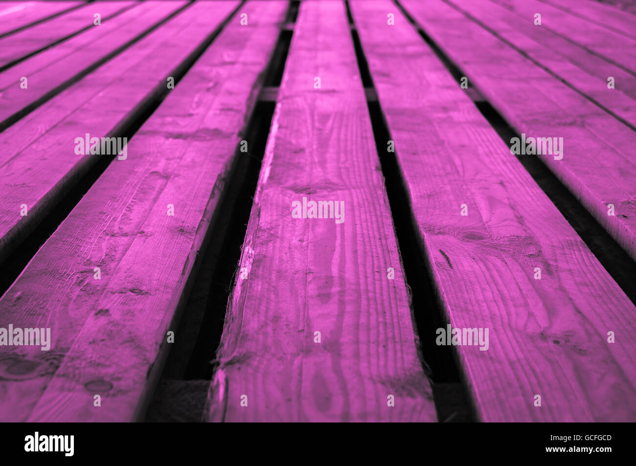 Rough purple pink or purplish pinkish violet wooden stage background ...