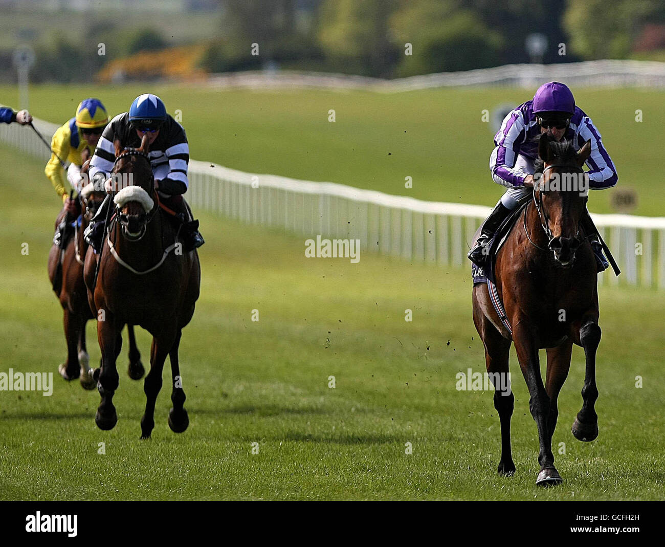 High chaparral horse hi-res stock photography and images - Alamy