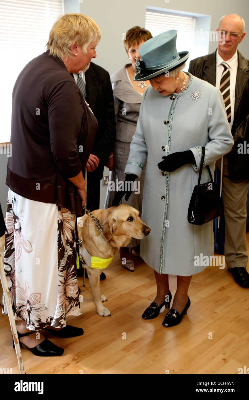 Pat a dog hi-res stock photography and images - Alamy