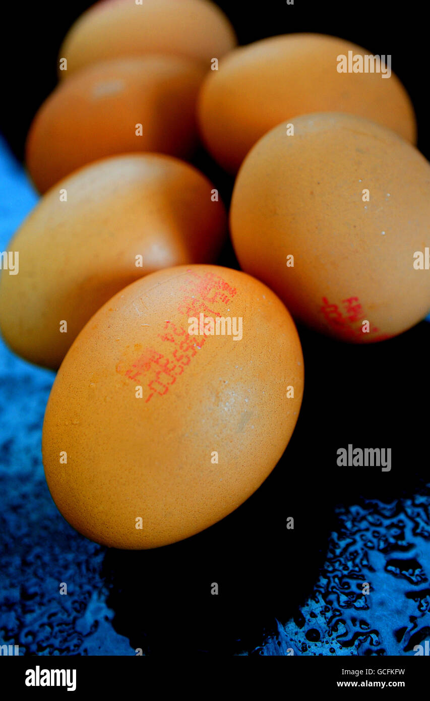 Generic view of eggs Stock Photo - Alamy