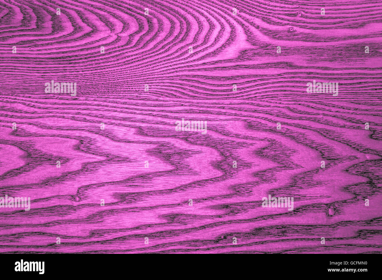 Perfect purple pink or purplish pinkish violet wood texture background ...