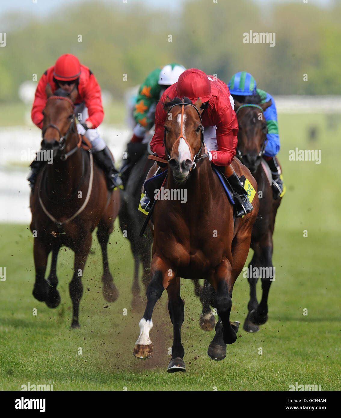 Horse racing lockinge day newbury hi-res stock photography and images ...