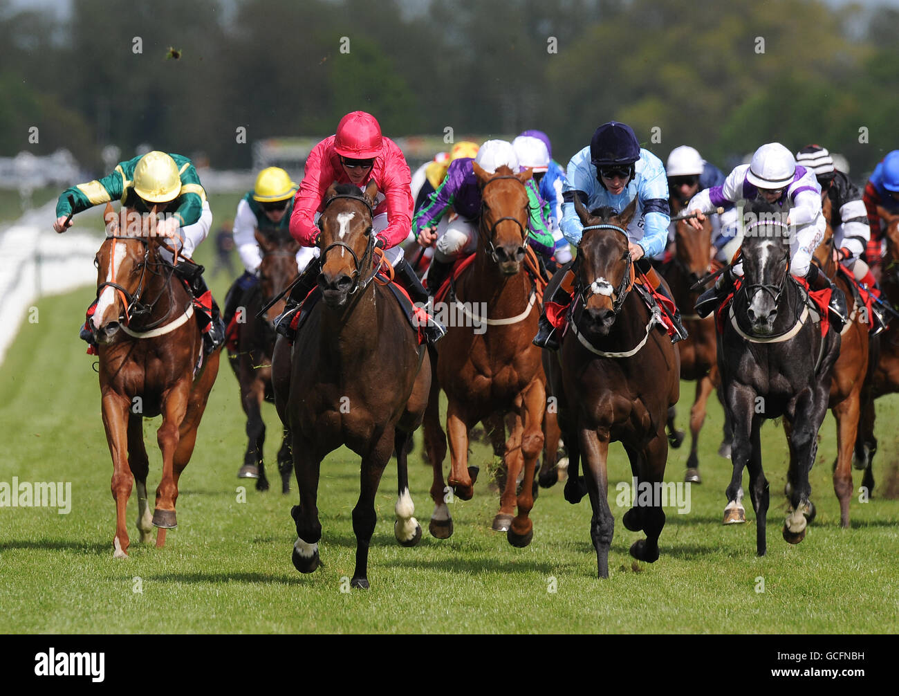 Zooter hi-res stock photography and images - Alamy
