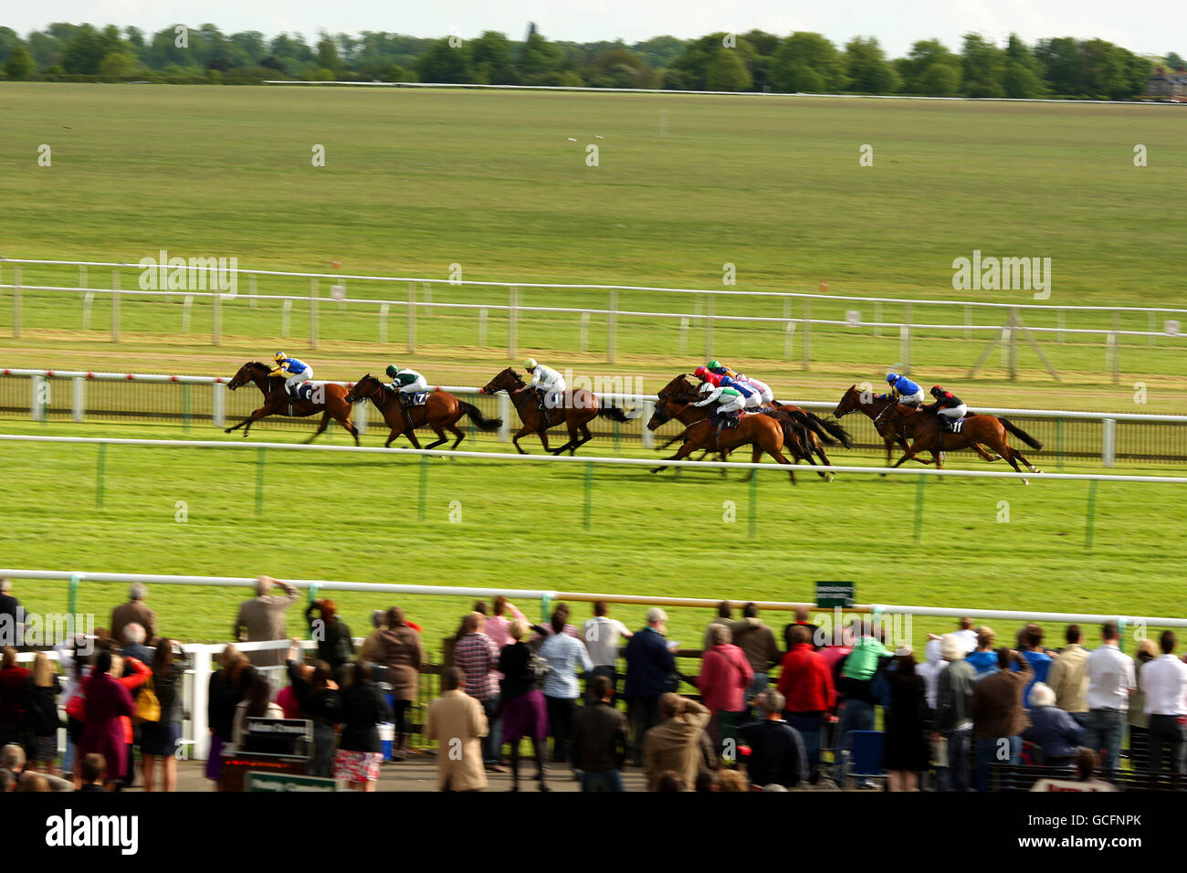 Horse Racing - Newmarket Racecourse Stock Photo - Alamy
