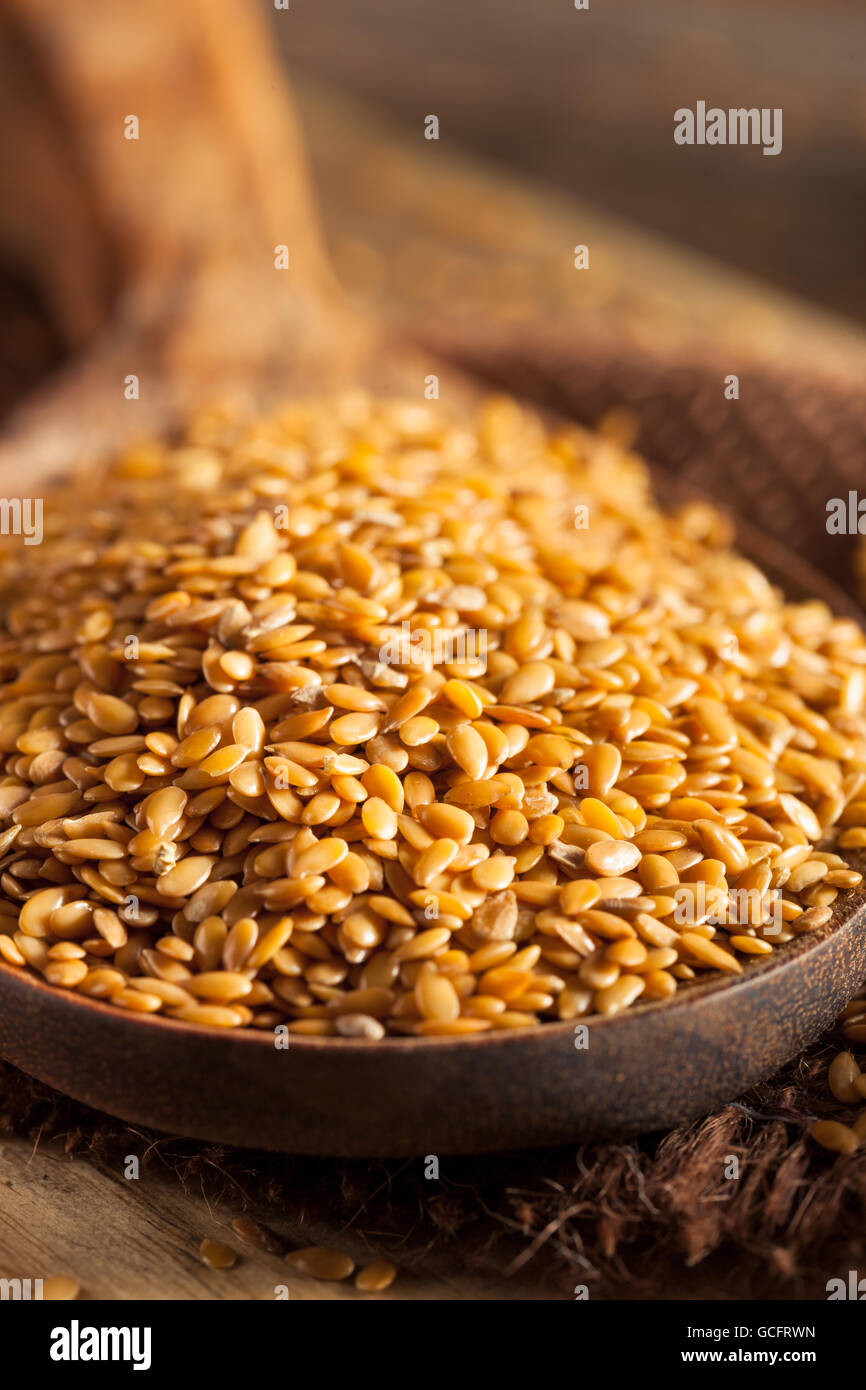 Golden flax hi-res stock photography and images - Alamy