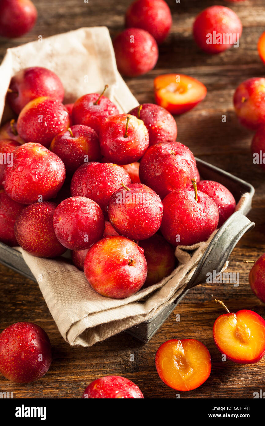 Fresh Raw Organic Cherry Plums Ready to Eat Stock Photo - Alamy