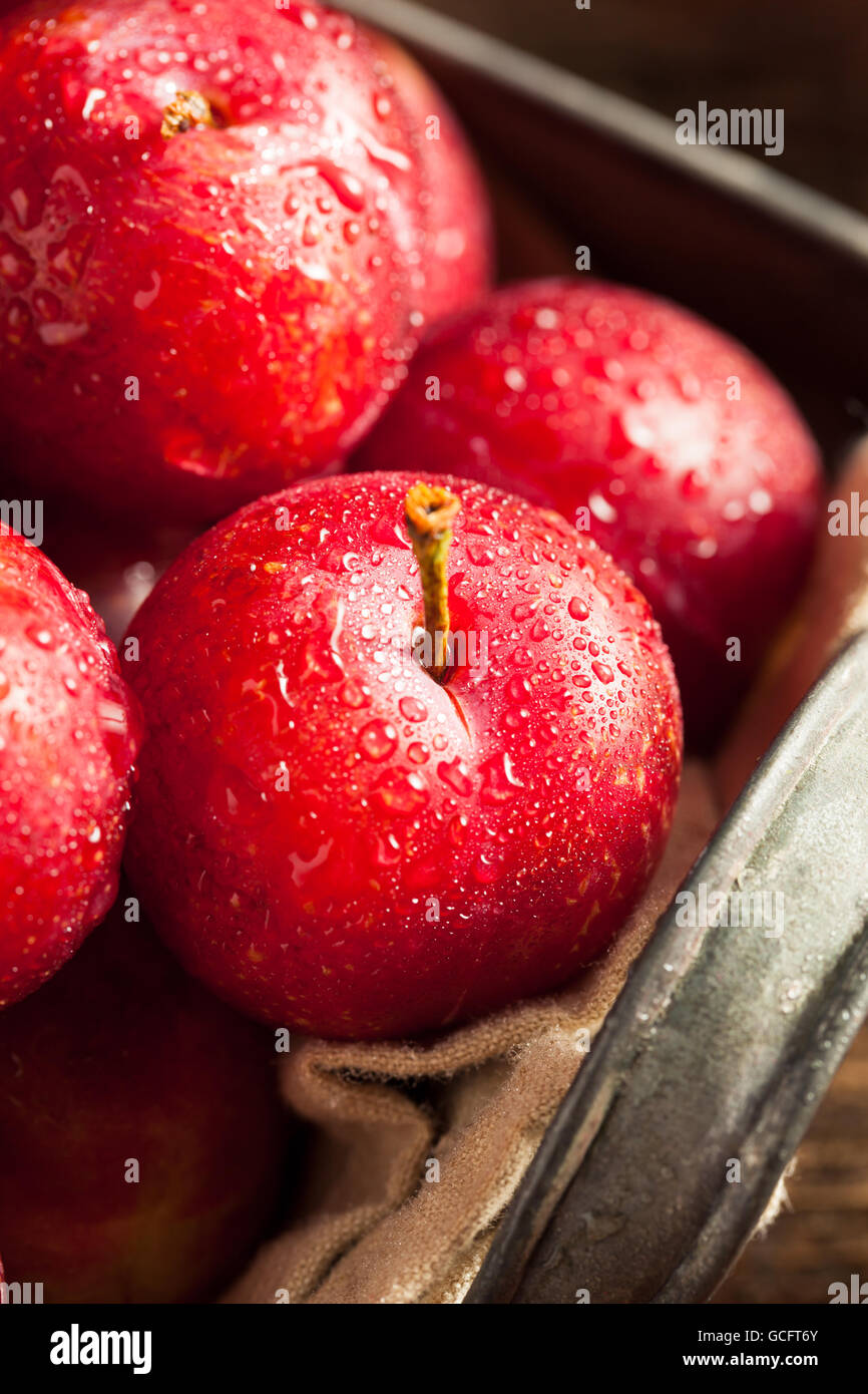 Fresh Raw Organic Cherry Plums Ready to Eat Stock Photo - Alamy