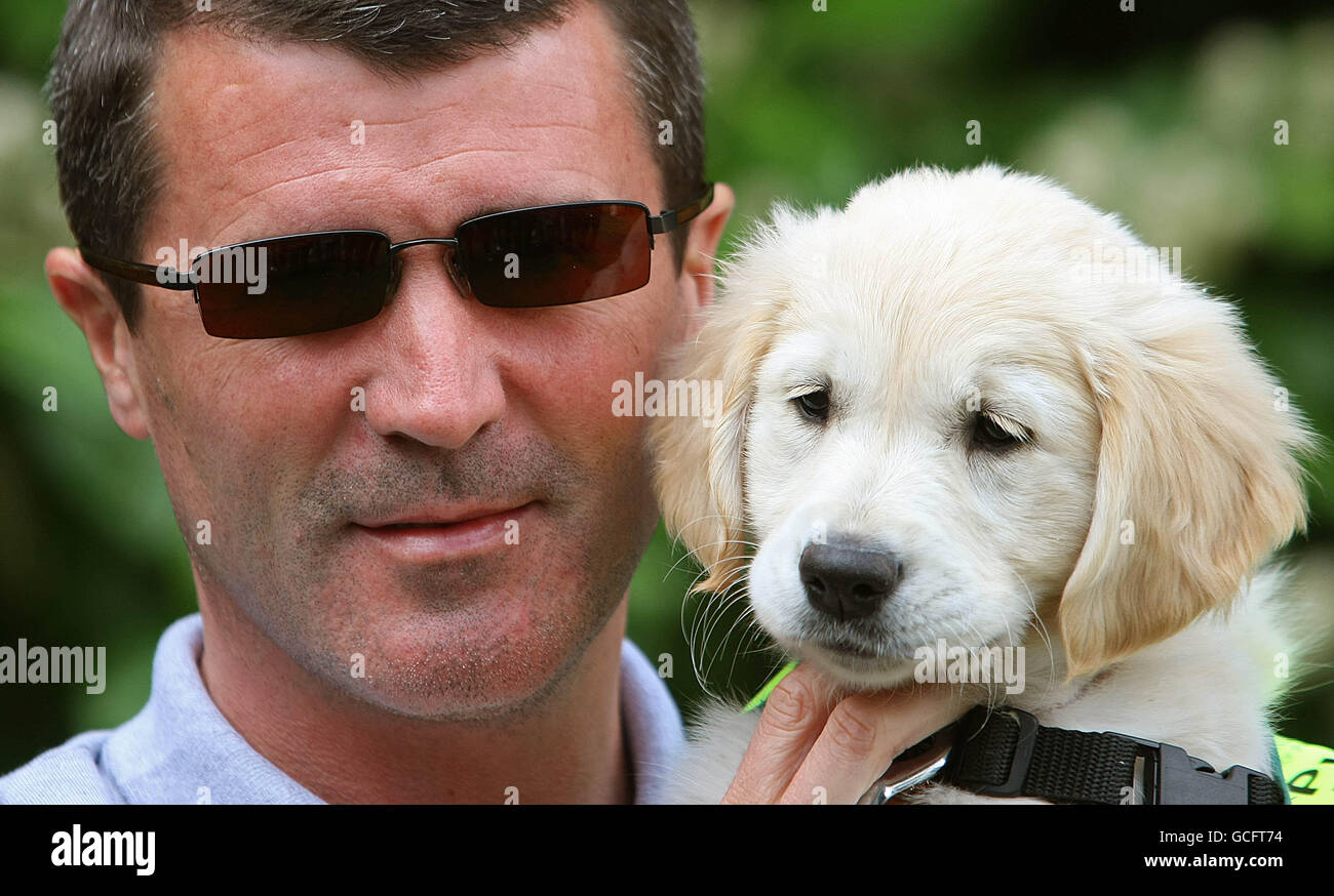 Guide dogs for the blind puppy hi-res stock photography and images - Alamy
