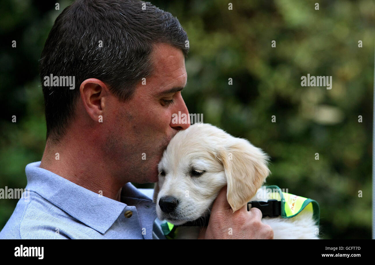 Irish guide dogs hi-res stock photography and images - Alamy