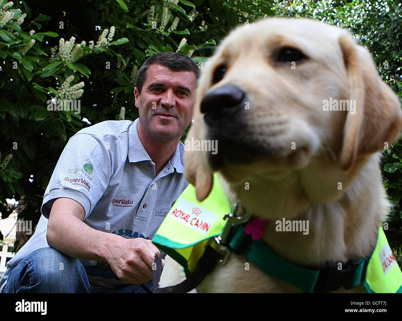 Irish Guide Dogs for the Blind Super Value Shades 2010 Campaign Stock ...