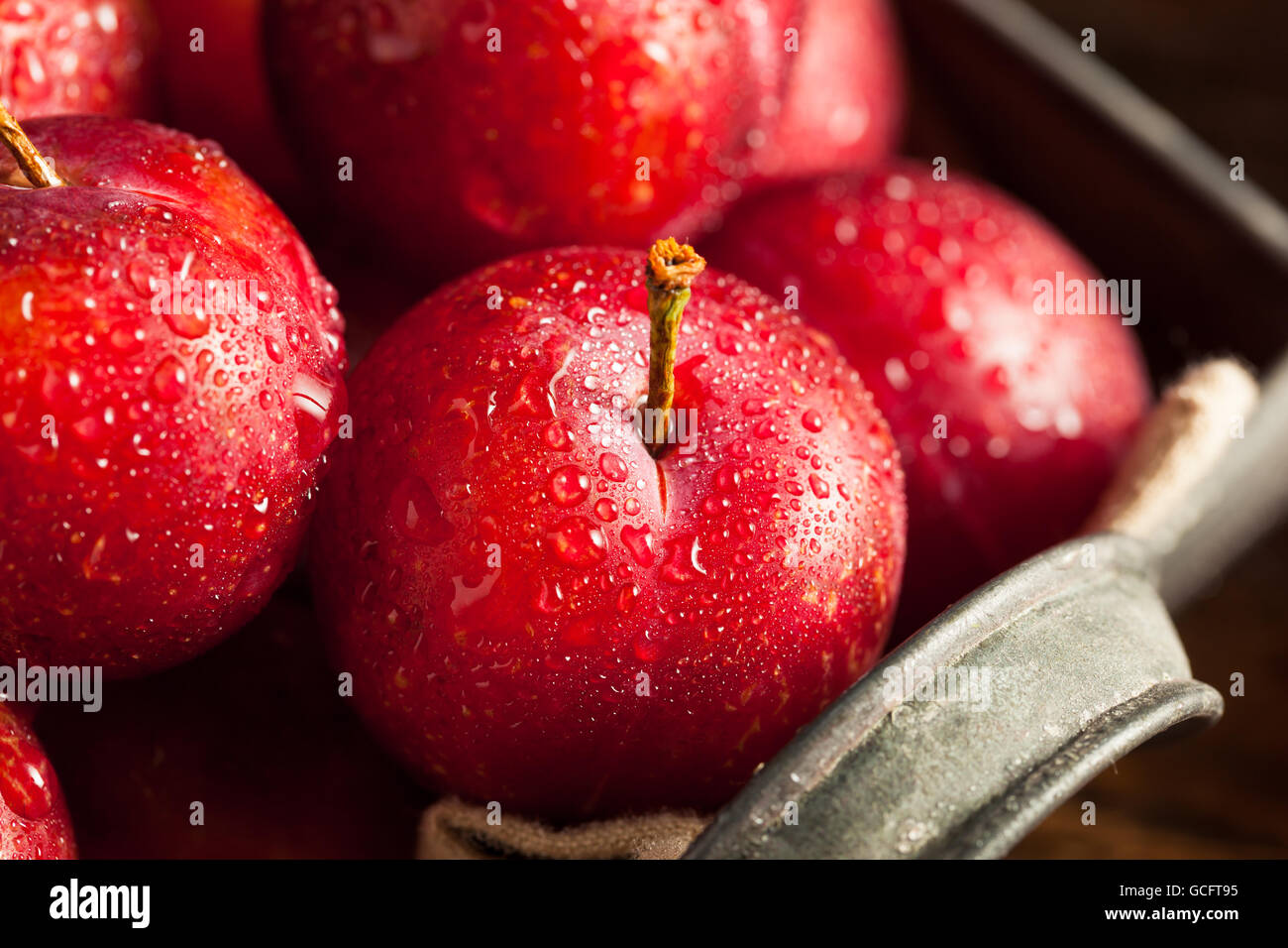 Cherry plums hi-res stock photography and images - Alamy