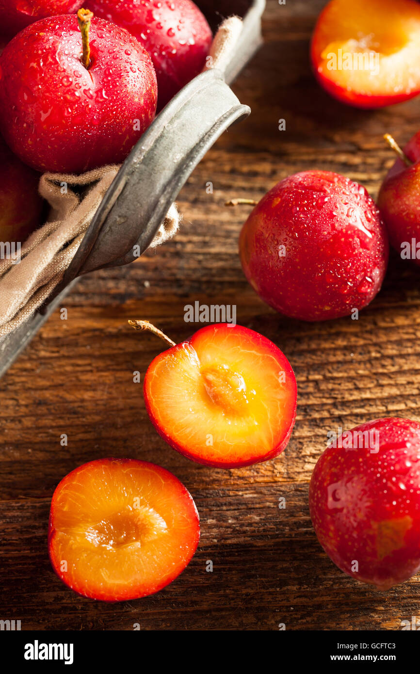 Fresh Raw Organic Cherry Plums Ready to Eat Stock Photo - Alamy