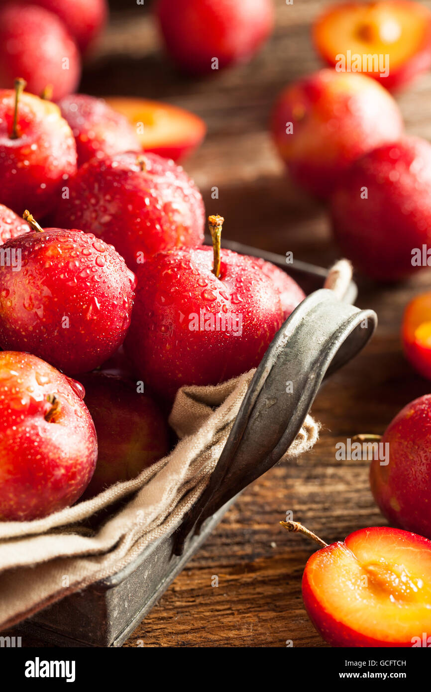 Fresh Raw Organic Cherry Plums Ready to Eat Stock Photo - Alamy