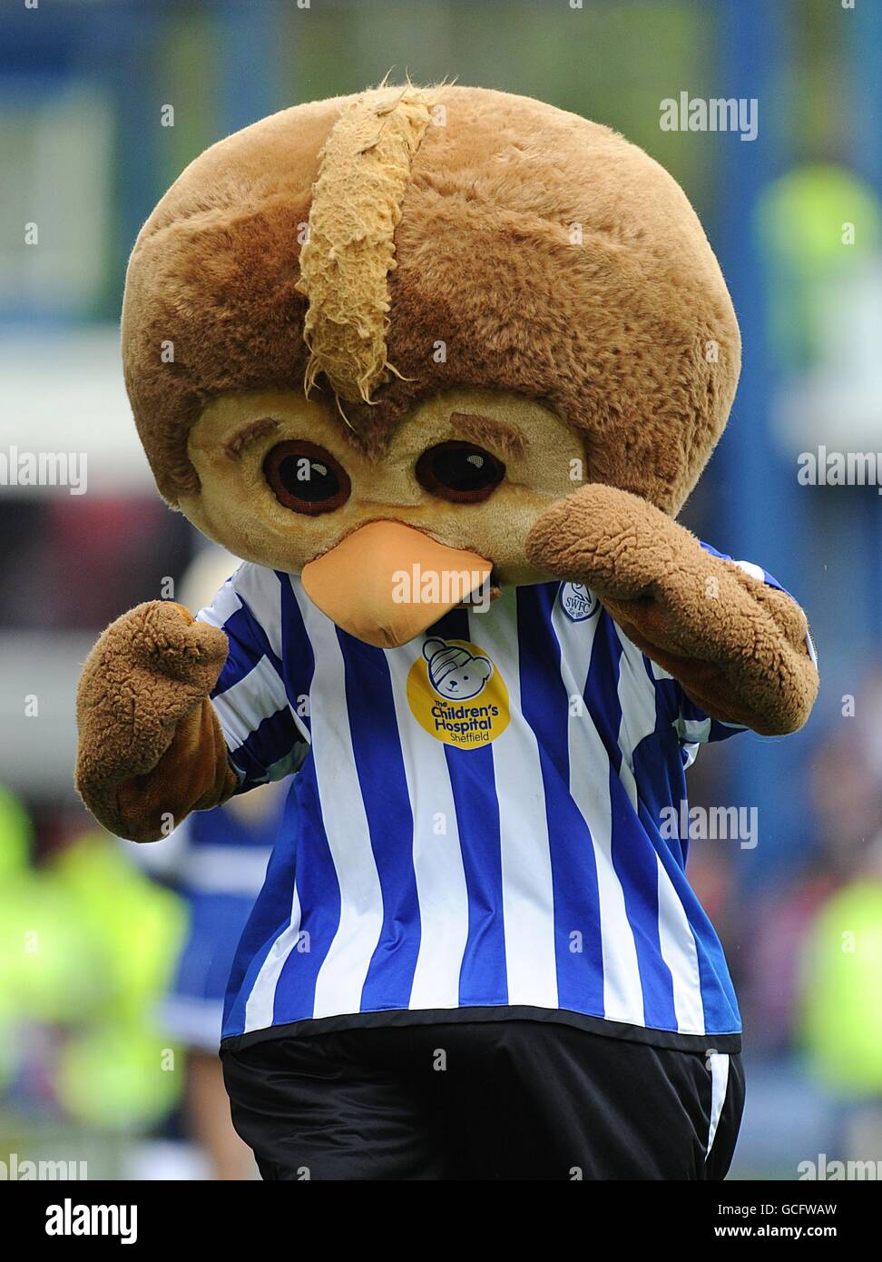 Sheffield wednesday mascot High Resolution Stock Photography and Images ...