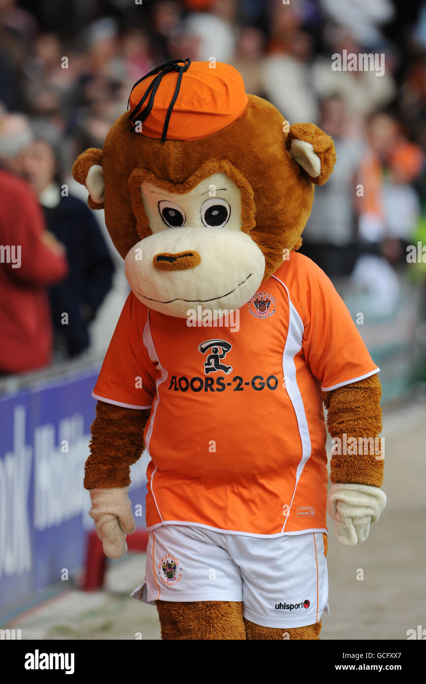 Tango mascot hi-res stock photography and images - Alamy