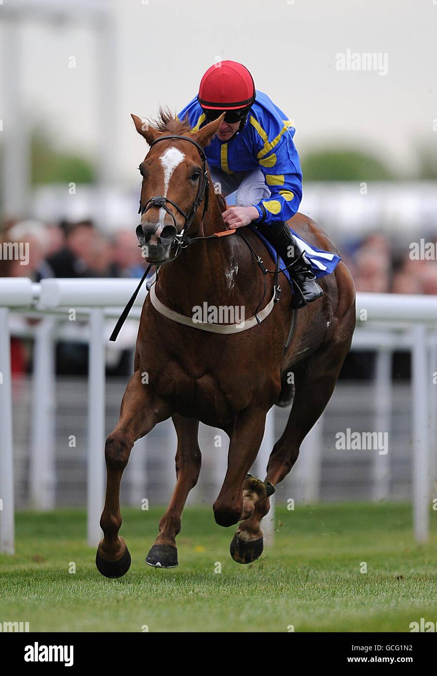 Jockey graham gibbons hi-res stock photography and images - Alamy