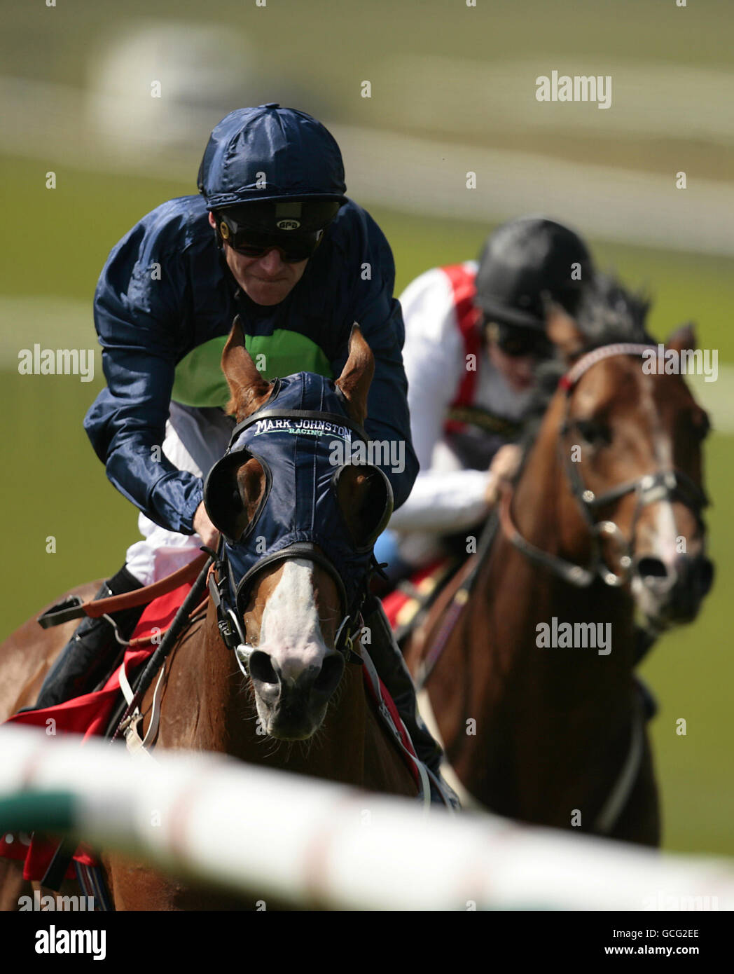 Horse Racing - Newmarket Racecourse Stock Photo - Alamy