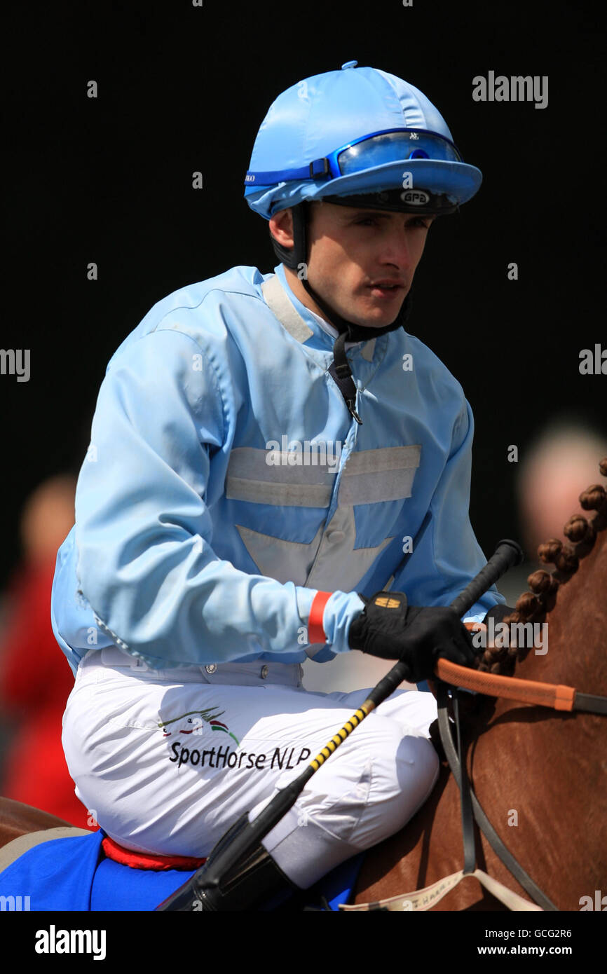 Mid length half headshot head shot portrait horse racing hi-res stock ...