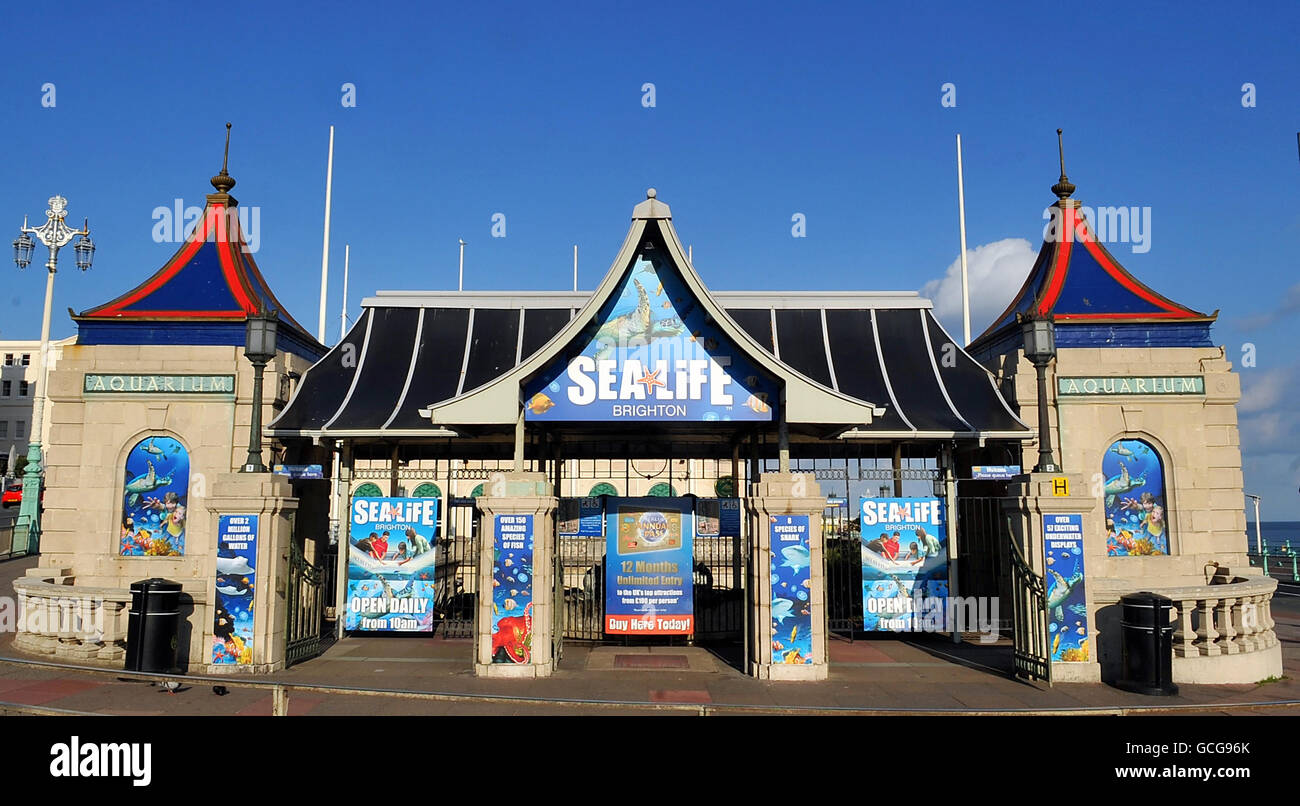 A general view of the Sea Life Centre on Brighton seafront Stock Photo ...