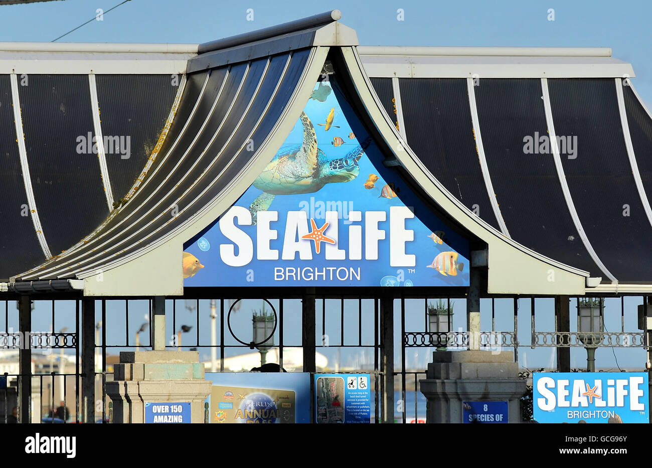 Sea Life Centre Brighton Stock Photos & Sea Life Centre Brighton Stock ...