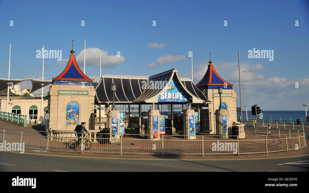Brighton Sea Life Centre Stock Photo - Alamy