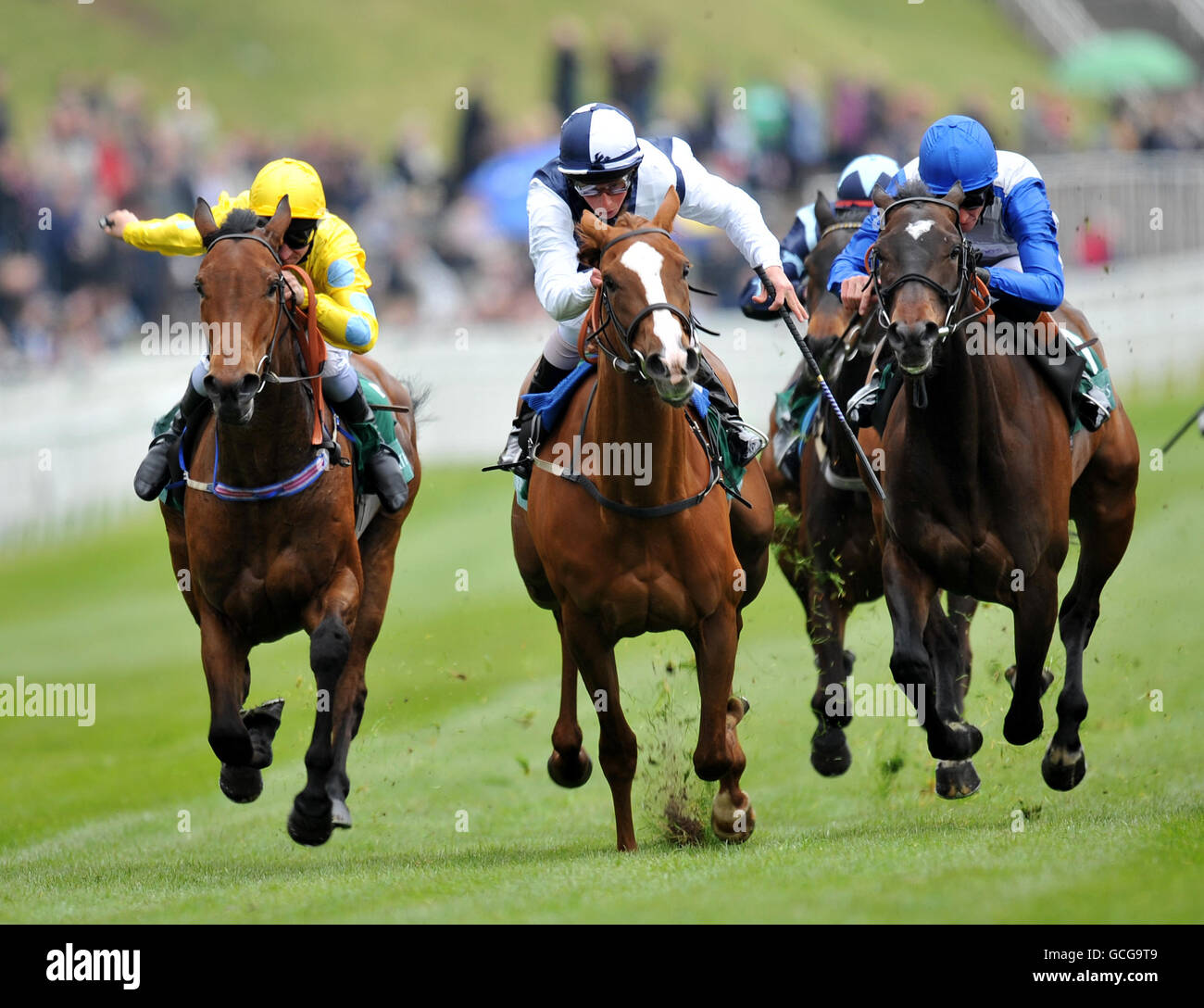 Gertrude Bell ridden by William Buick up (centre) wins from Acquainted ...