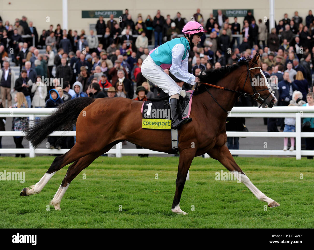 Horse Racing - Lingfield Racecourse Stock Photo - Alamy