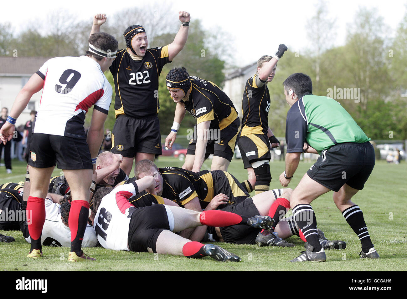 Glasgow Hawks High Resolution Stock Photography and Images - Alamy