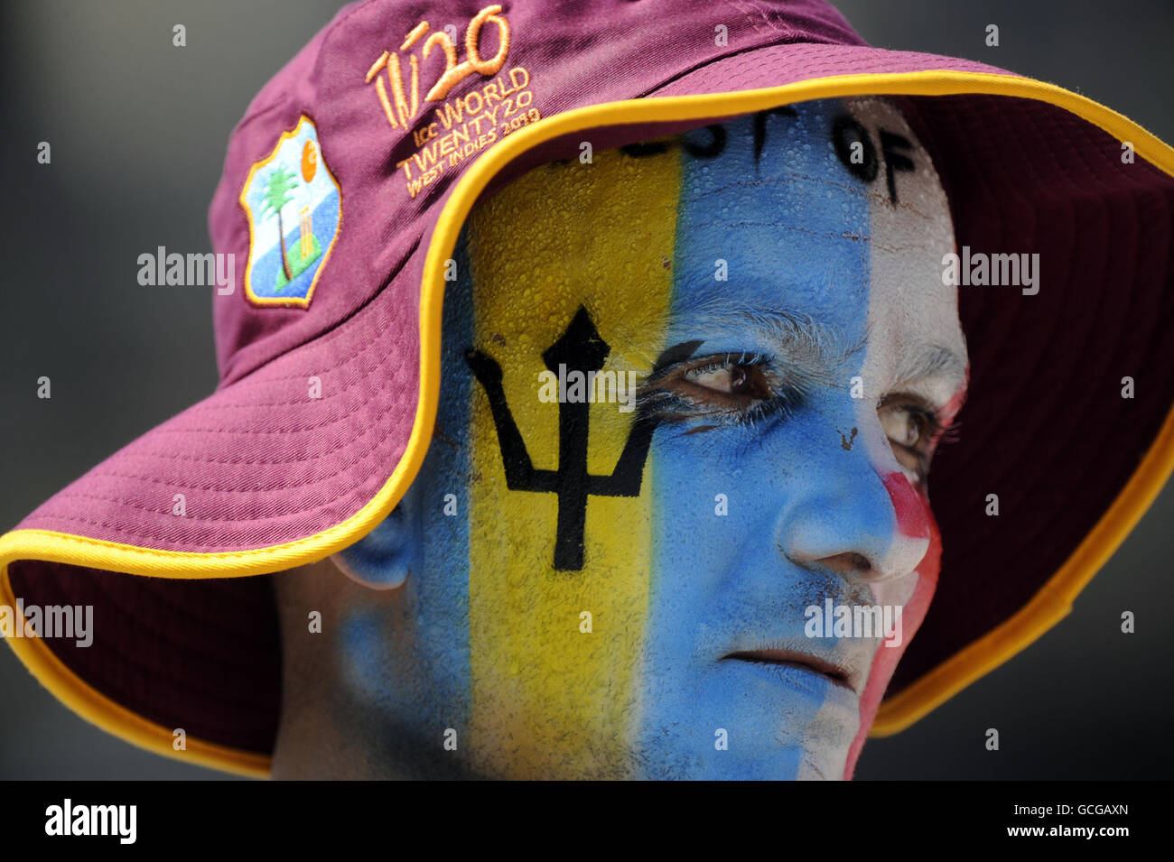 Cricket fan face paint hi-res stock photography and images - Alamy