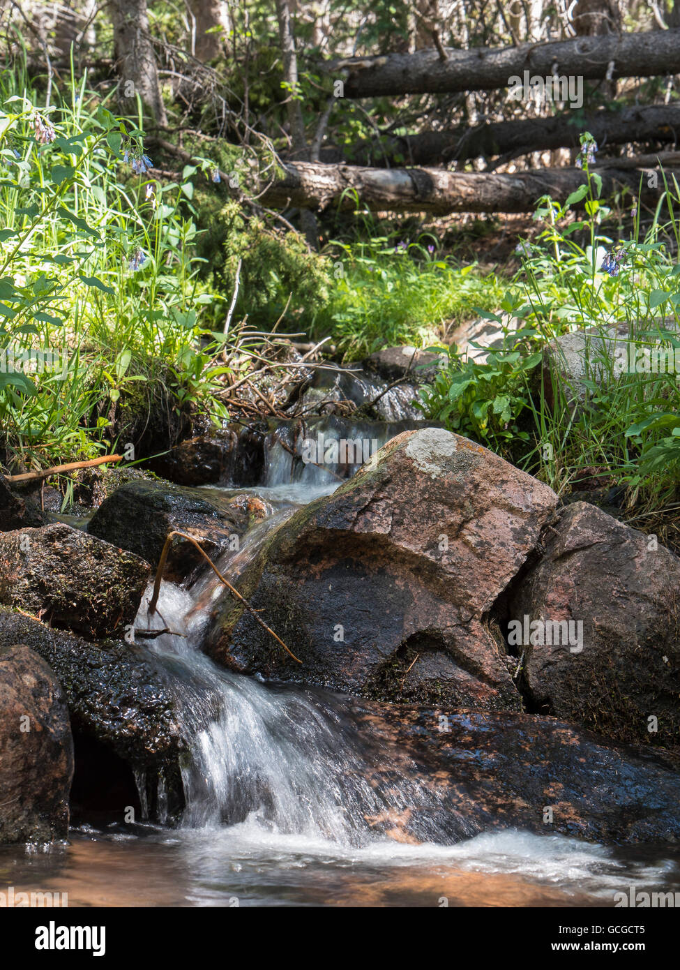 Small water cascade in the creek next to the Old Mill Site, Staunton ...
