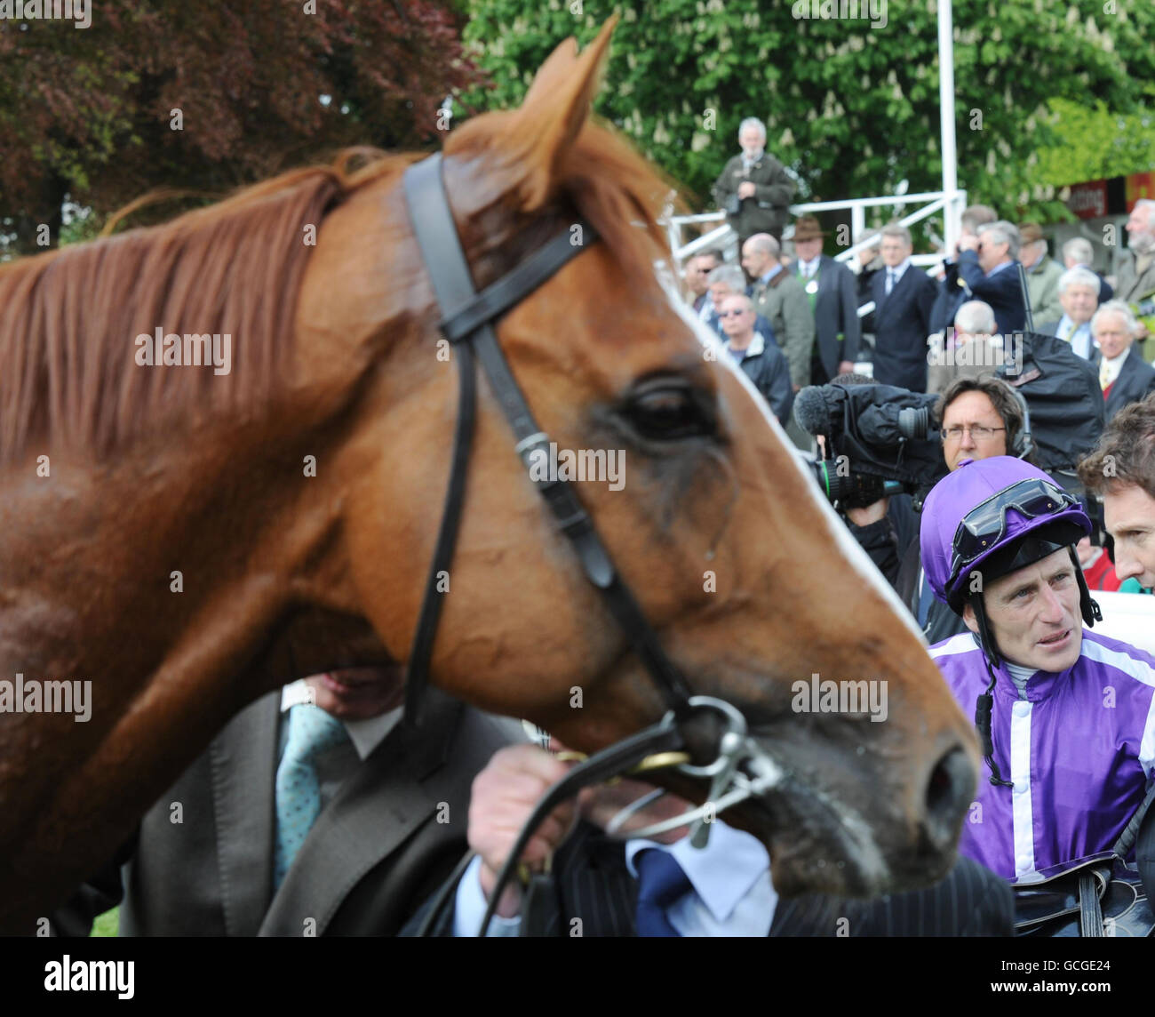 Cape Blanco and Johnny Murtagh after their win in the totesport Dante ...