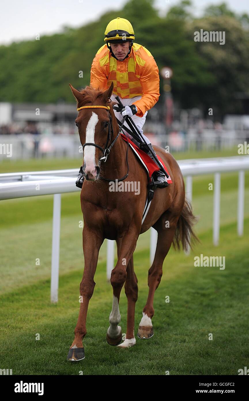 Jockey Kieren Fallon on Purple Moon goes to post in the Emirates ...