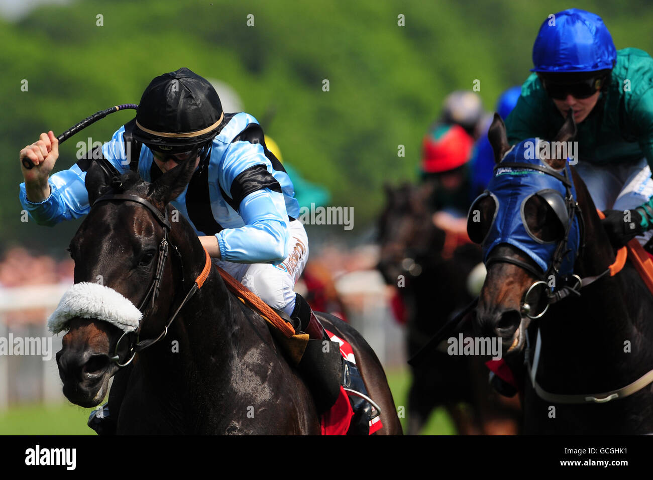 Horse racing the princess royal trust for raceday haydock park hi-res ...