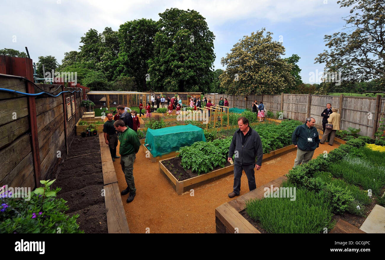 Royal parks allotment hi-res stock photography and images - Alamy