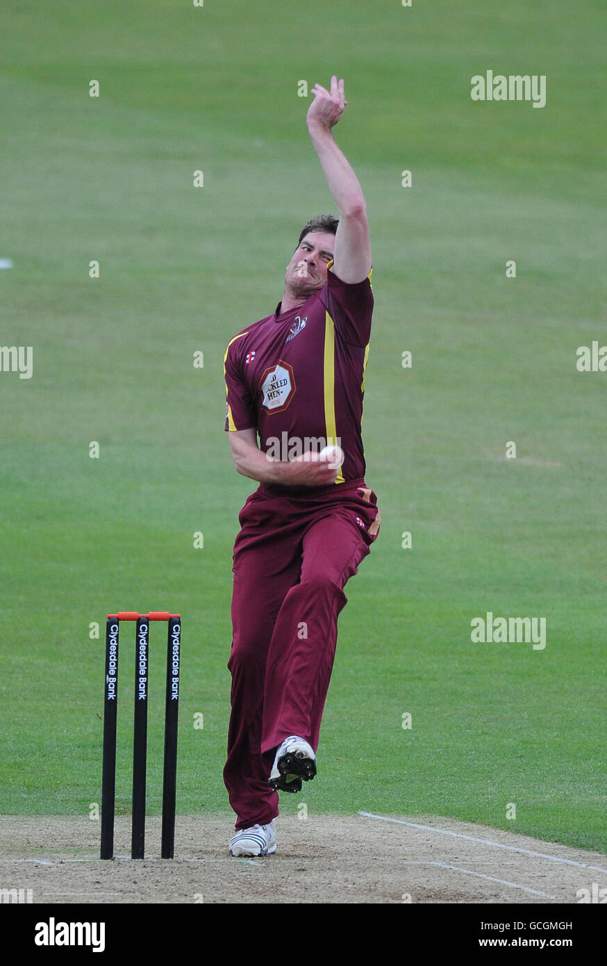 Cricket david wigley hi-res stock photography and images - Alamy
