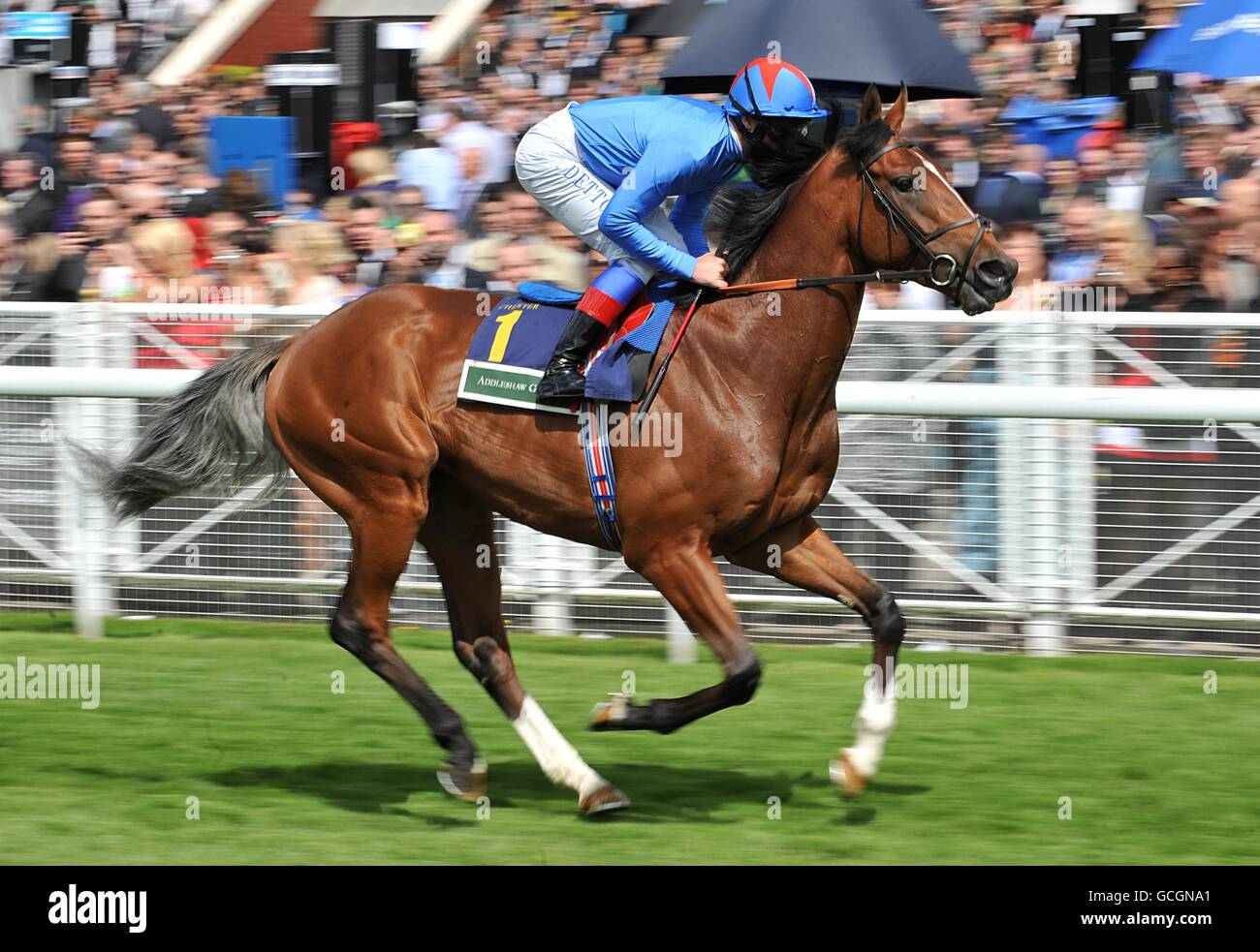 Before winning the addleshaw goddard dee stakes at chester racecourse ...