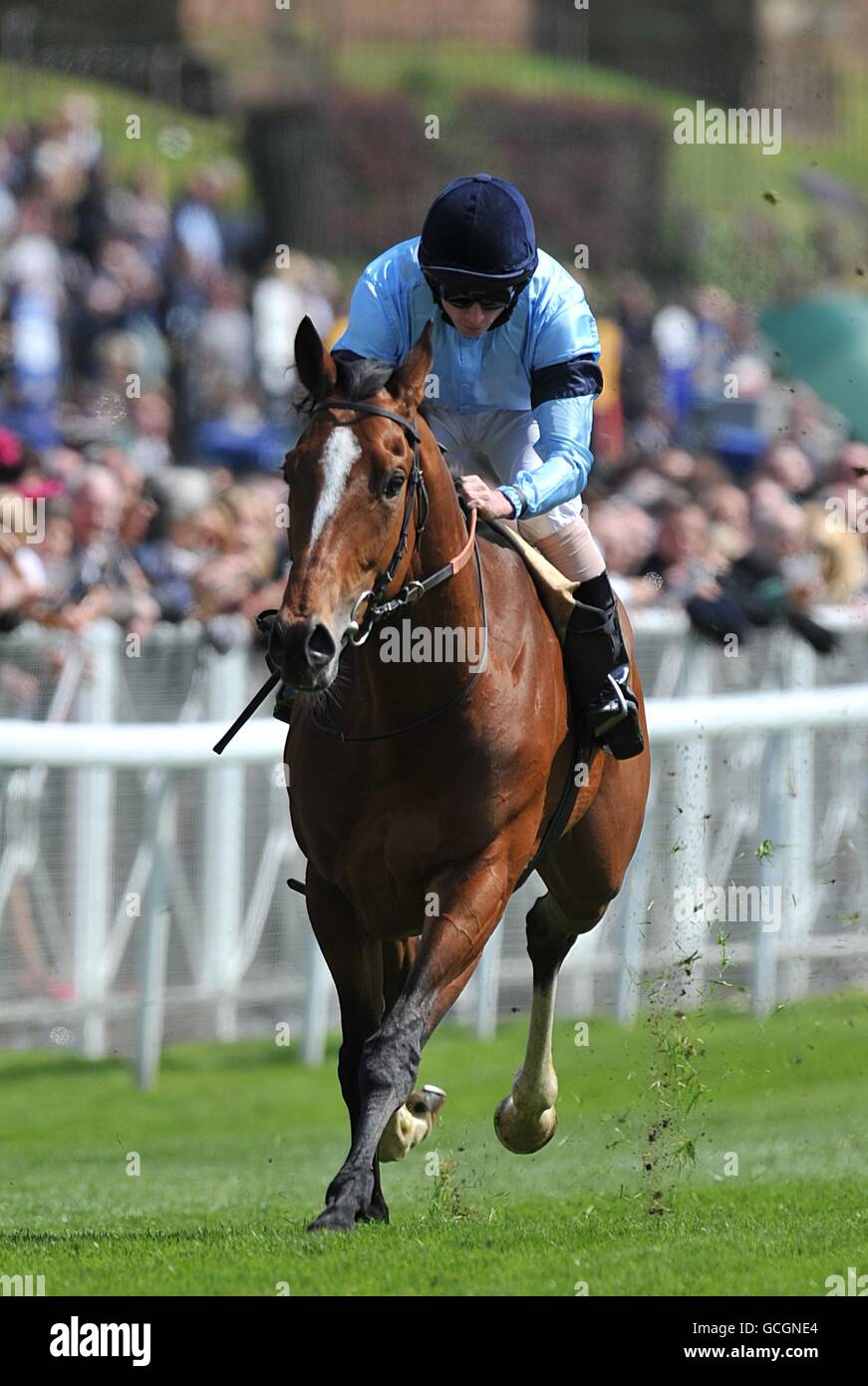 Ormonde horse hi-res stock photography and images - Alamy