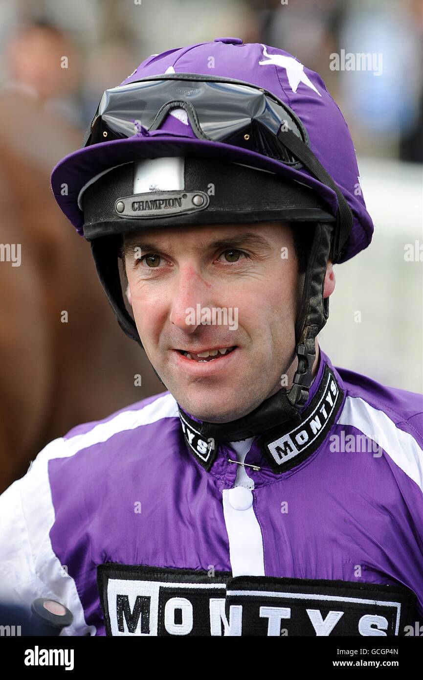 Robert winston horse hi-res stock photography and images - Alamy