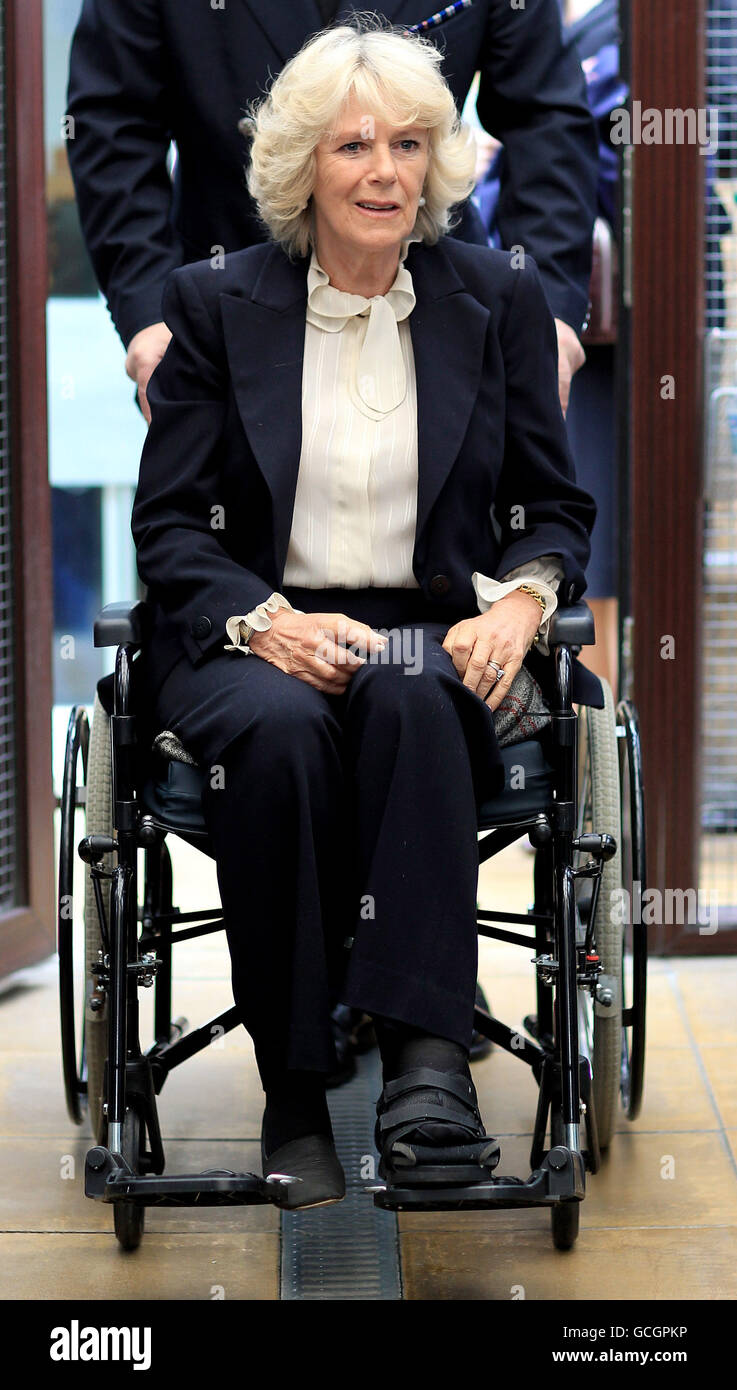 Mayhew animal hi-res stock photography and images - Alamy