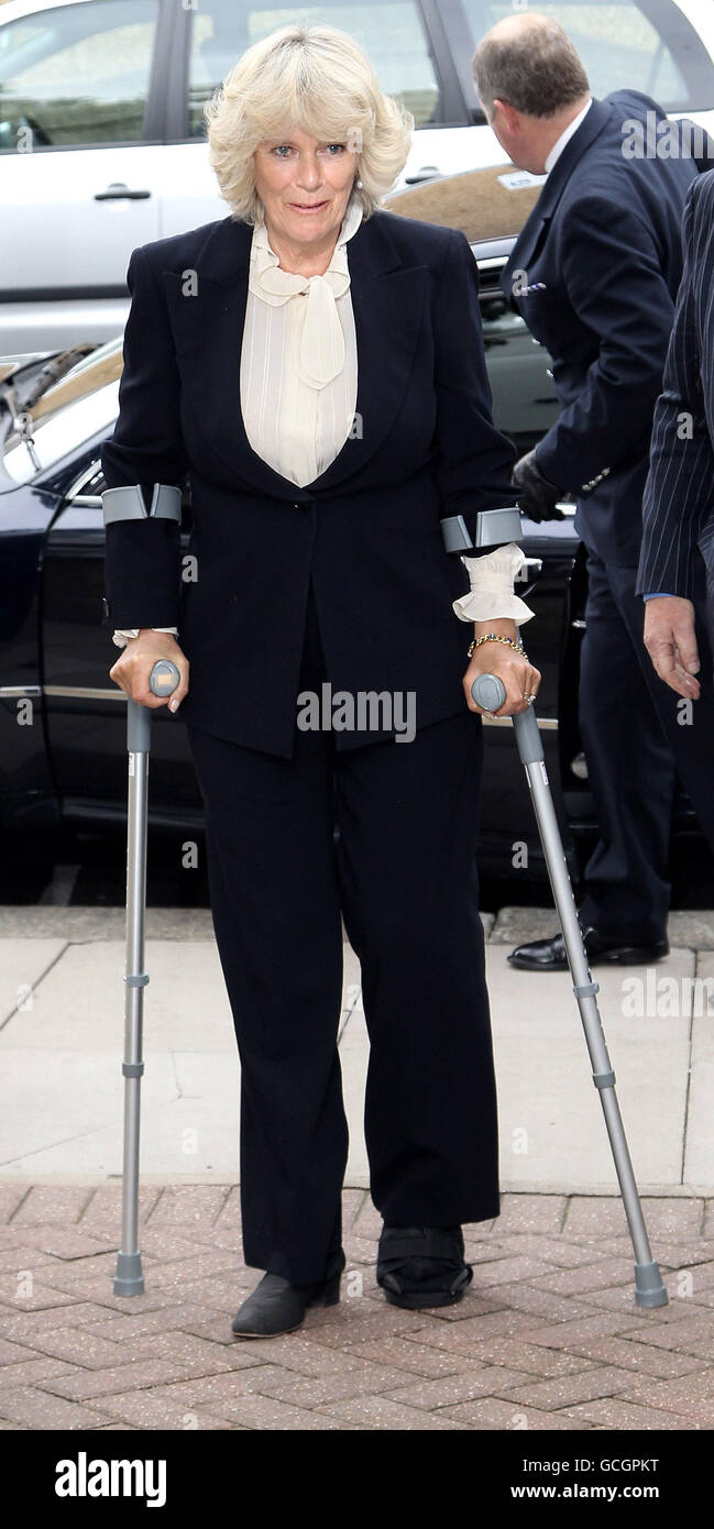 Mayhew animal home hi-res stock photography and images - Alamy