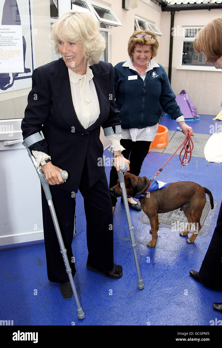 The Duchess of Cornwall during a visit to Mayhew Animal Home in London ...