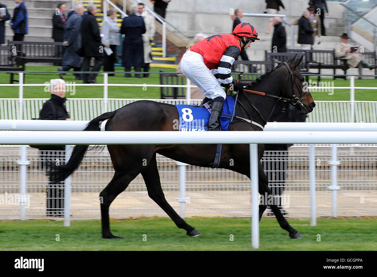 She's A Character ridden by Tony Hamilton goes to post Stock Photo - Alamy
