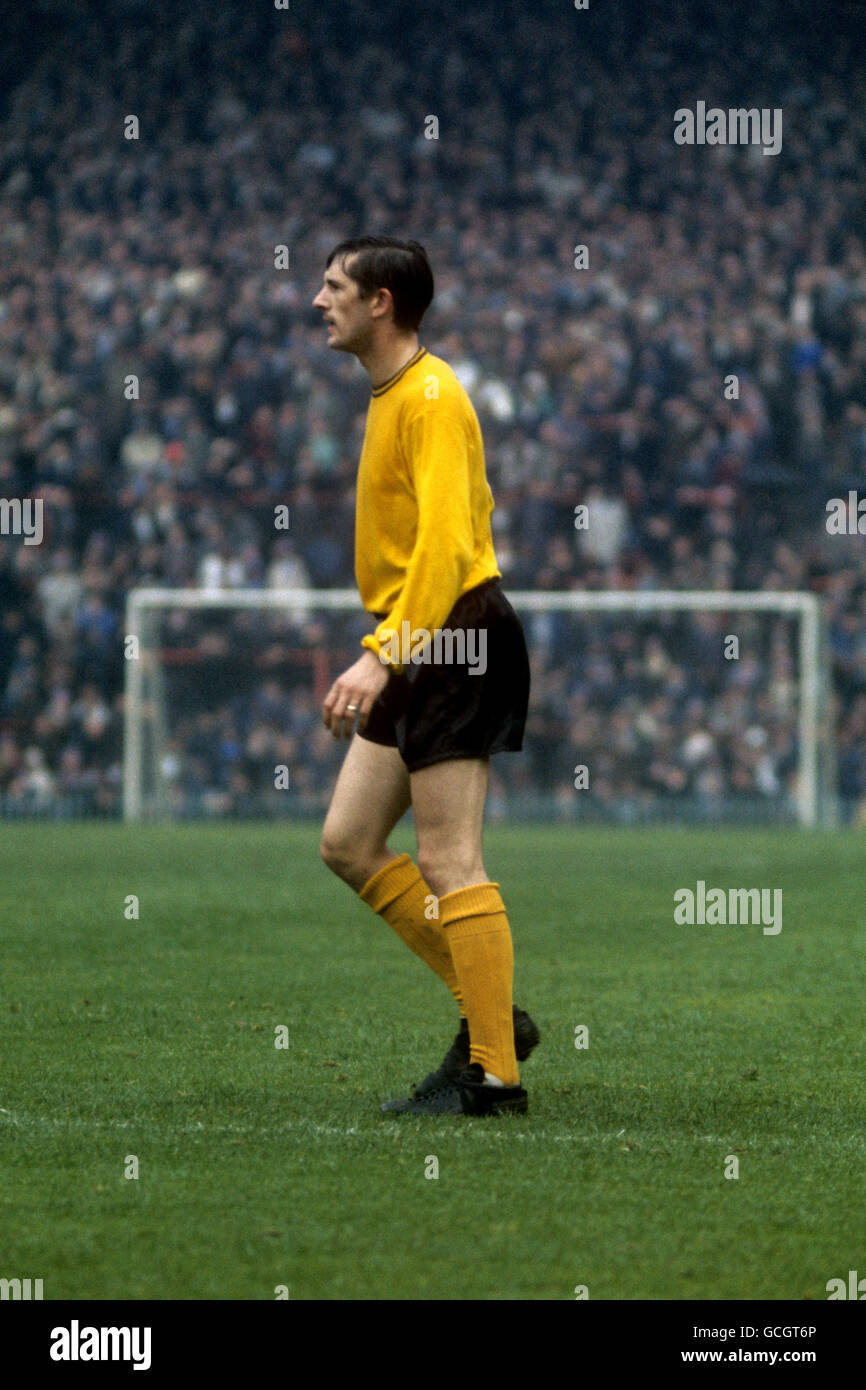 Soccer - Hull City. Ian Butler, Hull City Stock Photo - Alamy