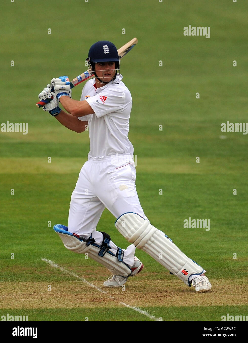 Cricket lphli ampics hi-res stock photography and images - Alamy