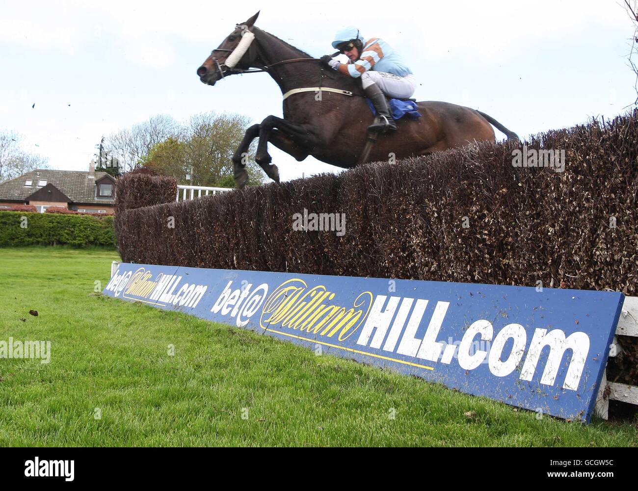 Kelso racecourse hi-res stock photography and images - Alamy