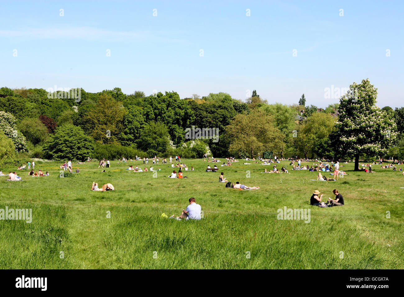 As the sunny weather continues to shine on britain hi-res stock ...