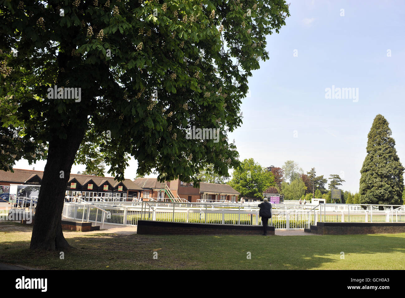 Horse Racing - Lingfield Park Racecourse Stock Photo - Alamy